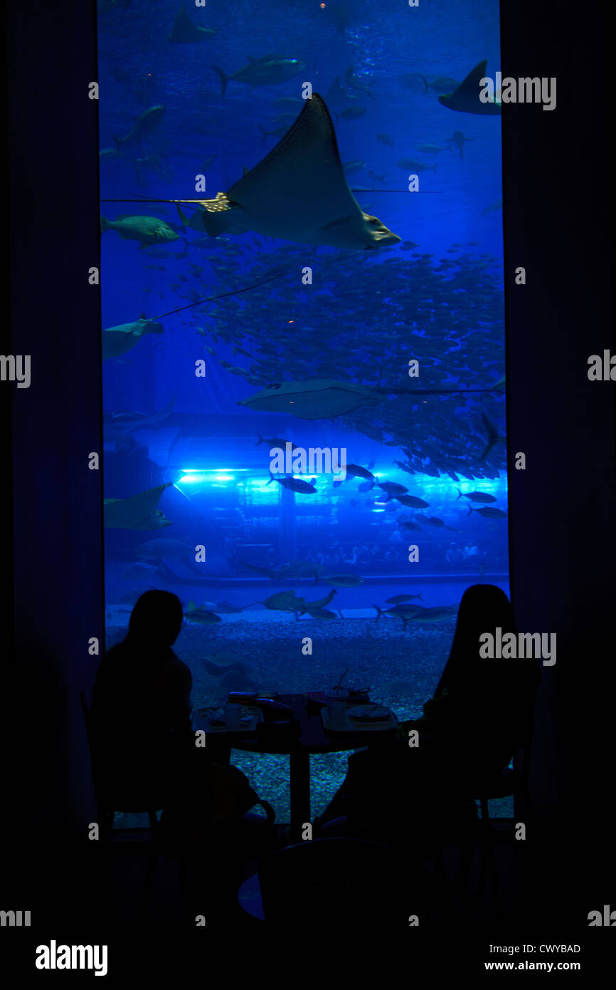 Diners au restaurant de Churaumi Aquarium sont traités à un show ...