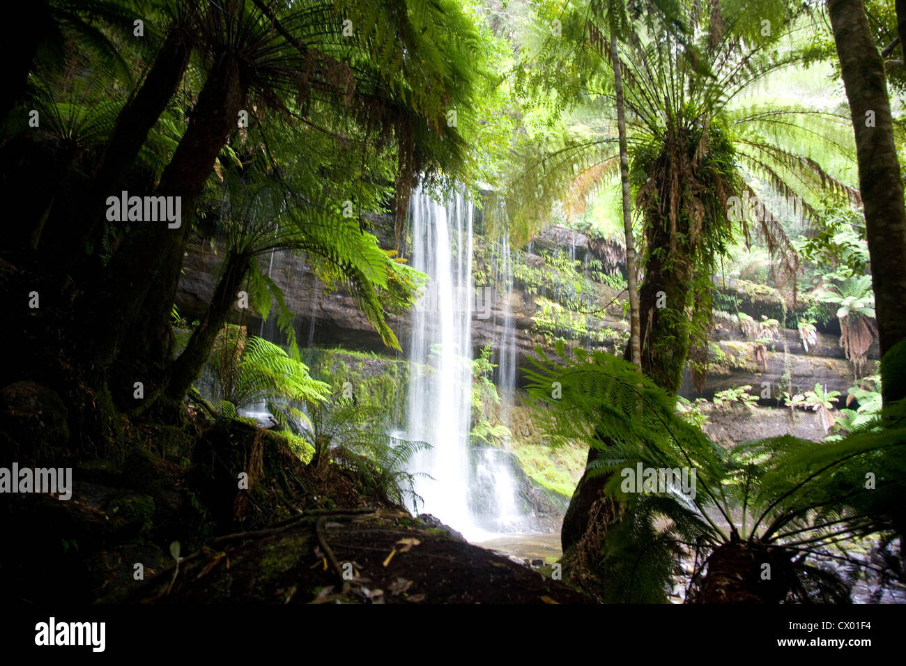 Mount field national park Banque de photographies et d’images à haute ...