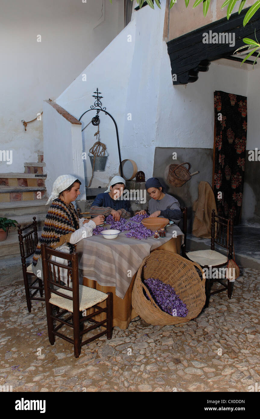 Consuegra, extraction de fleur de safran, safran stigmates Rose ...
