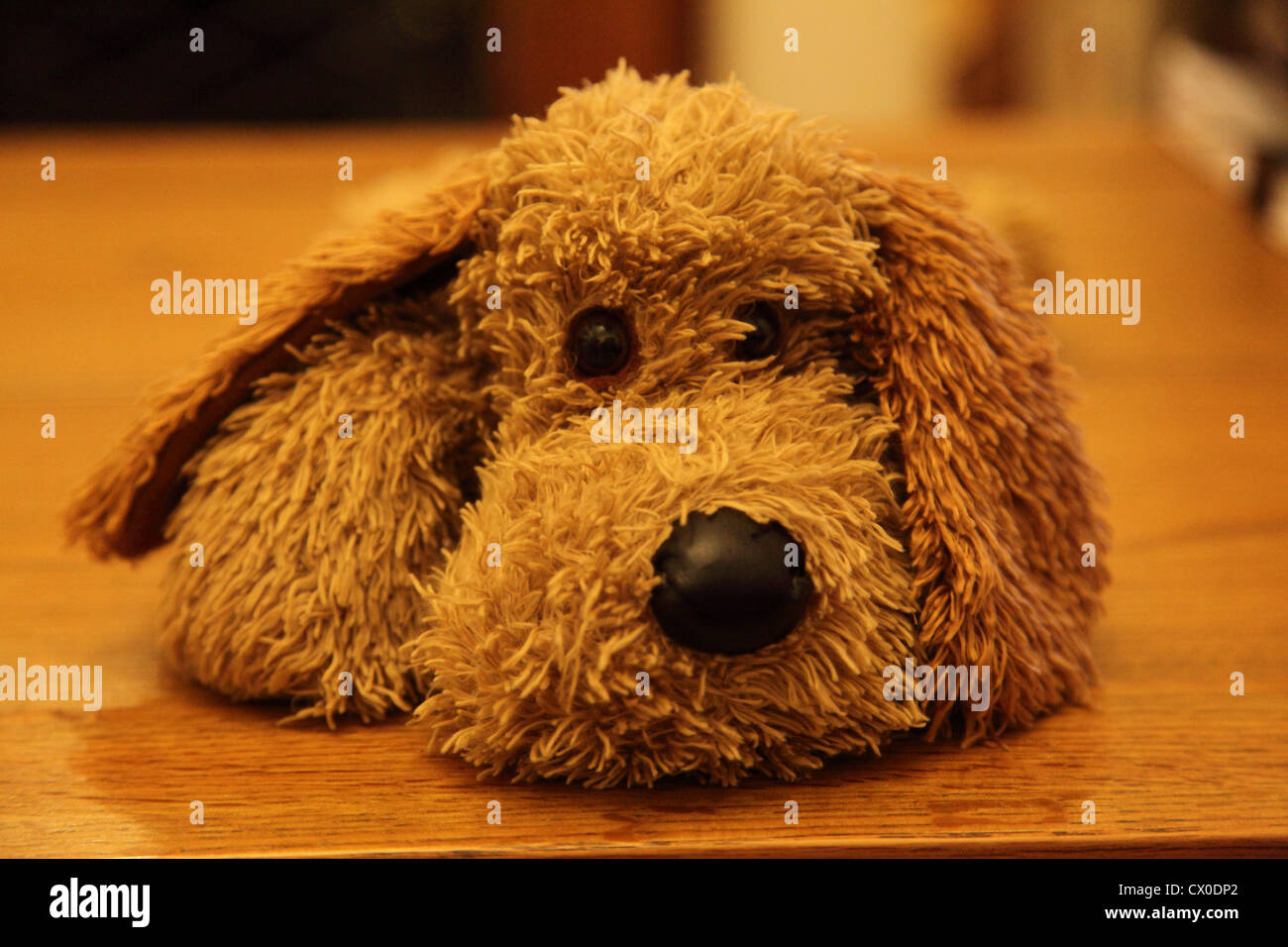 Mignon toy Banque de photographies et d’images à haute résolution - Alamy