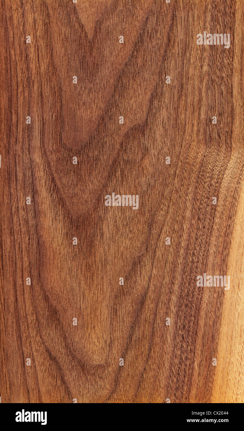 American walnut wood texture Banque de photographies et d’images à ...