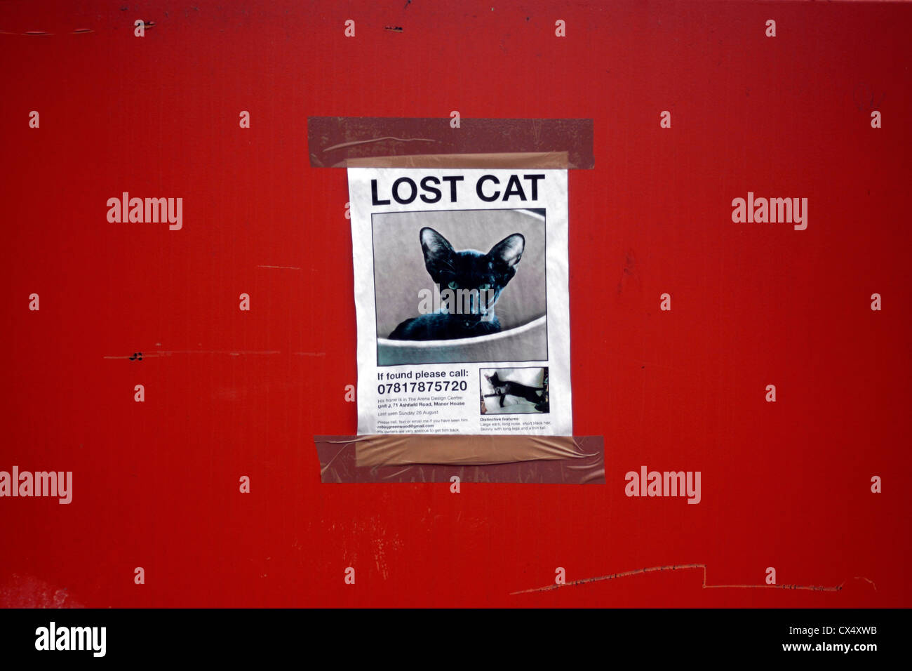 Affiche de chat perdu Banque de photographies et d’images à haute ...