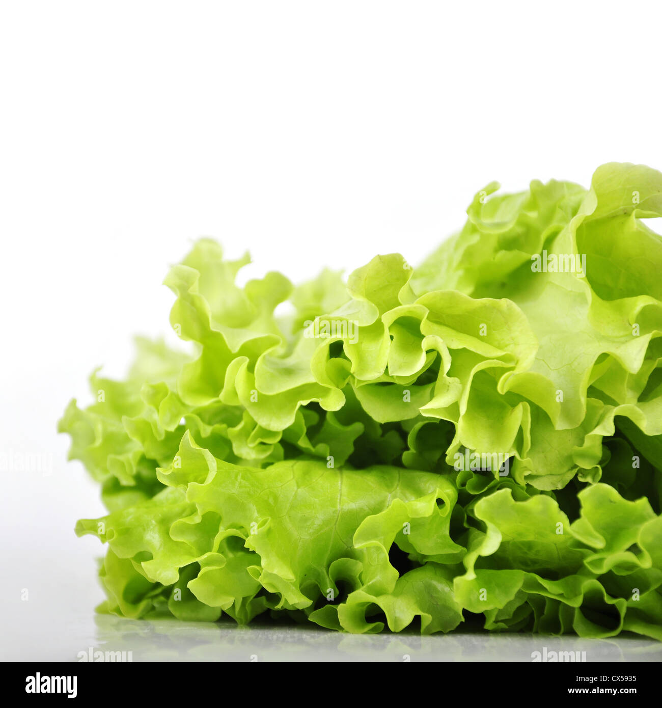 Feuilles de salade de laitue Banque de photographies et d’images à ...