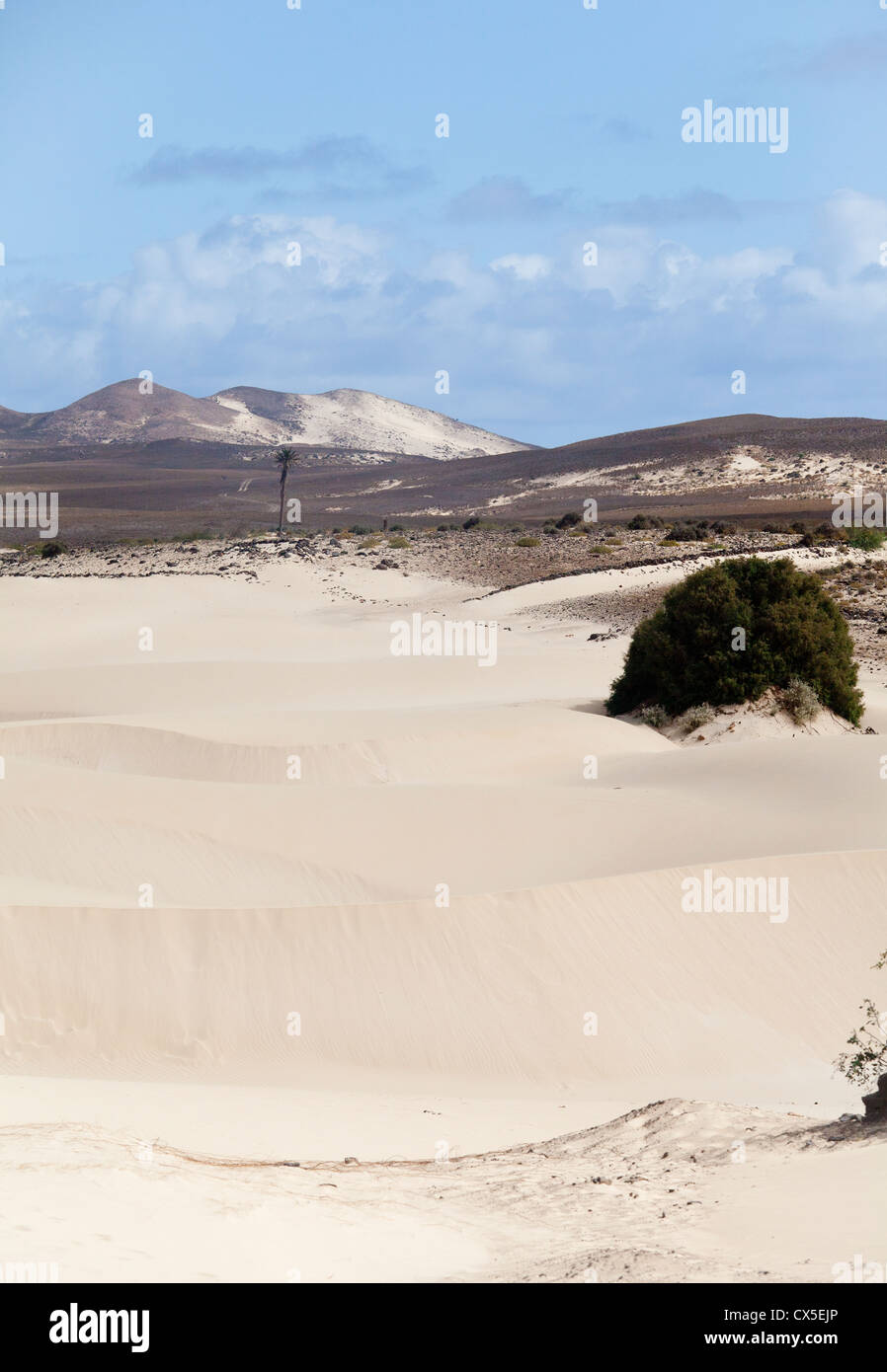 Cap vert africain Banque de photographies et d’images à haute ...