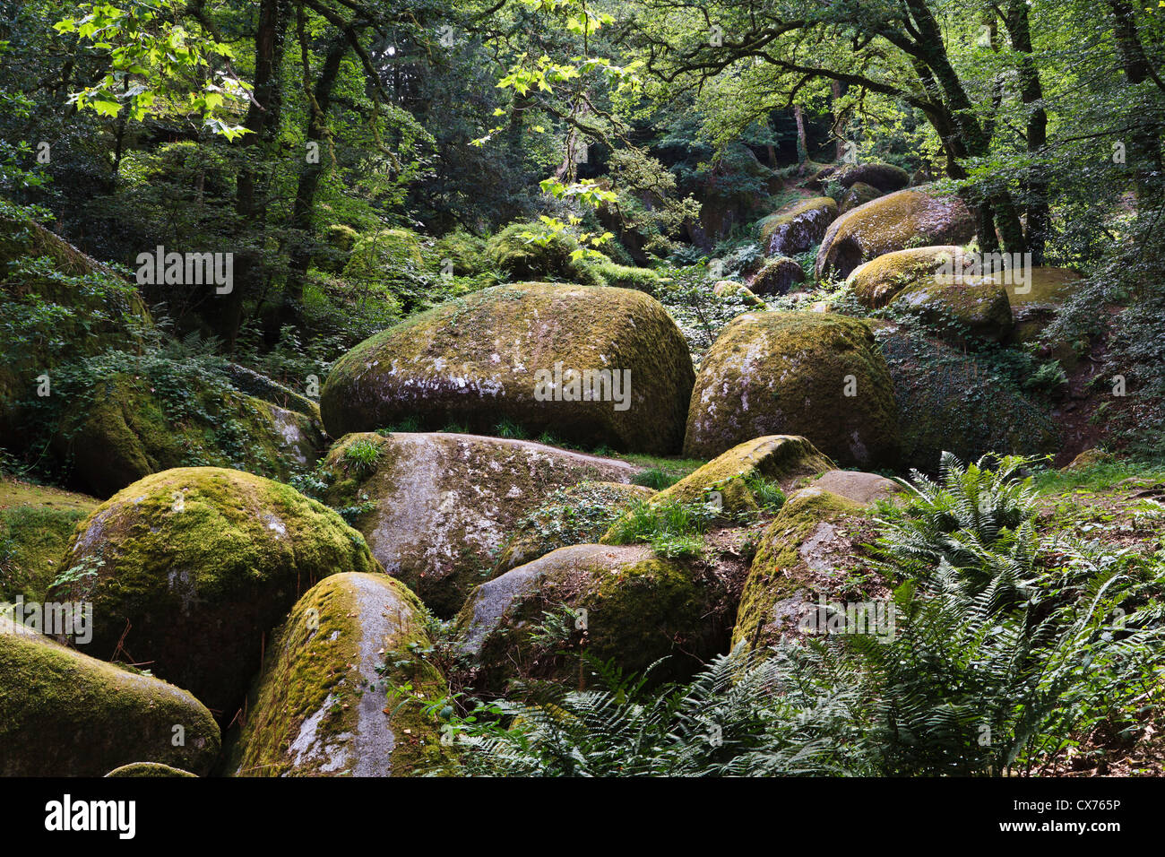 Le chaos de rochers bretagne Banque de photographies et d’images à ...