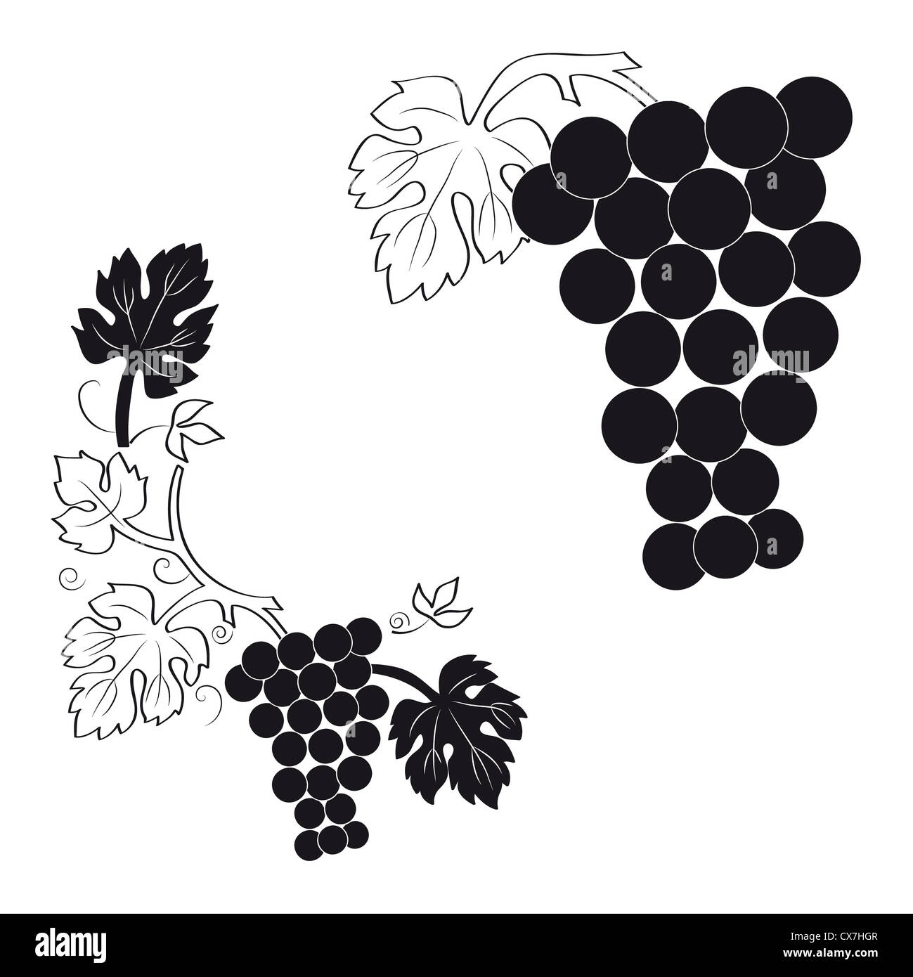 Grappe de raisins. Vector illustration Photo Stock - Alamy