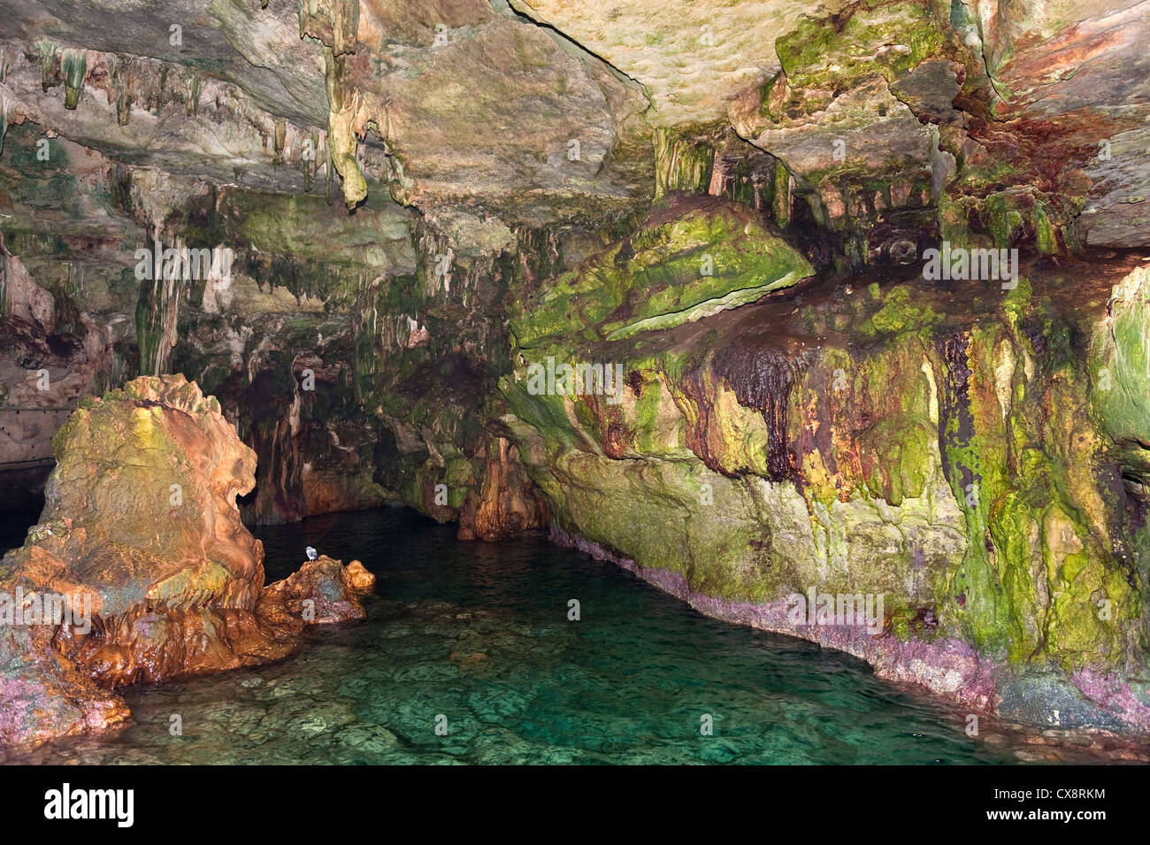 Lion des cavernes Banque de photographies et d’images à haute ...