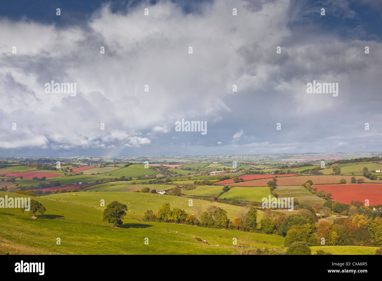 Raddon hills Banque de photographies et d’images à haute résolution - Alamy
