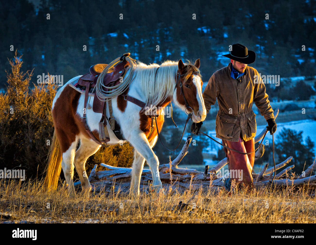 Cow boy et son cheval Banque de photographies et d’images à haute ...