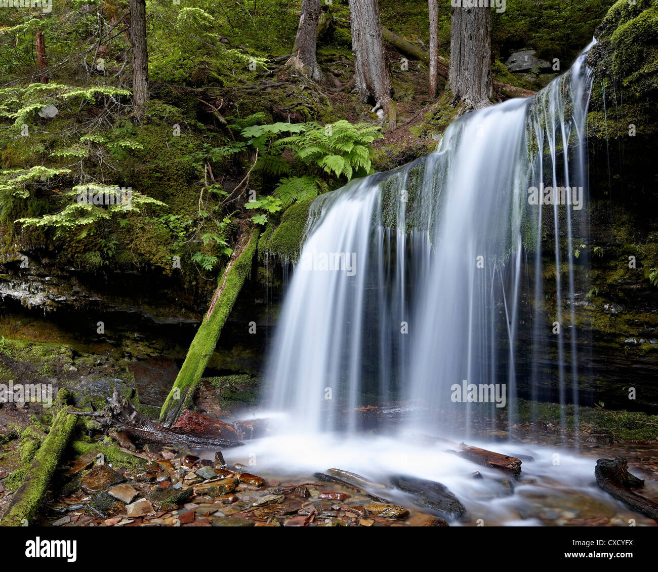 Forêts des états unis Banque de photographies et d’images à haute ...
