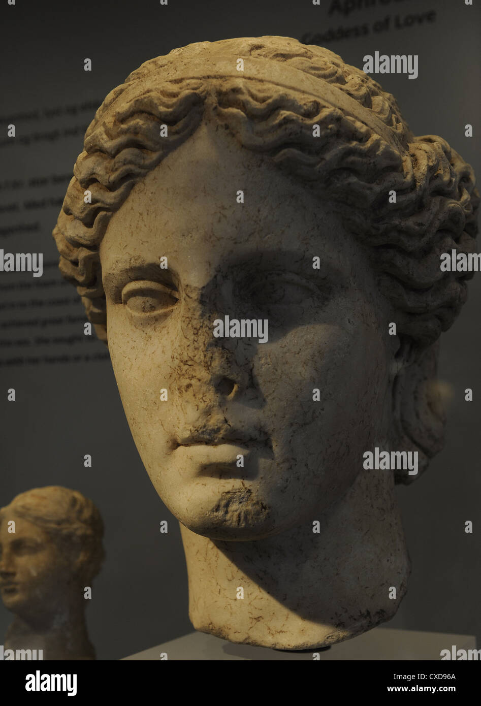 Nez romain Banque de photographies et d’images à haute résolution - Alamy