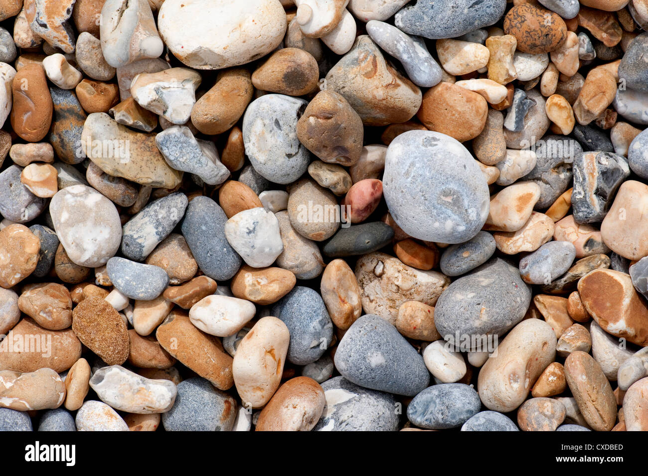 Galet plage Banque de photographies et d’images à haute résolution - Alamy