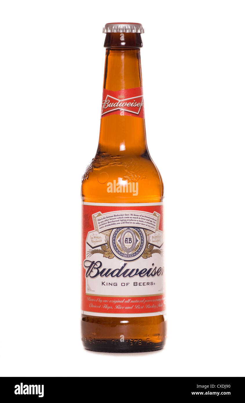 Budweiser beer Banque de photographies et d’images à haute résolution ...