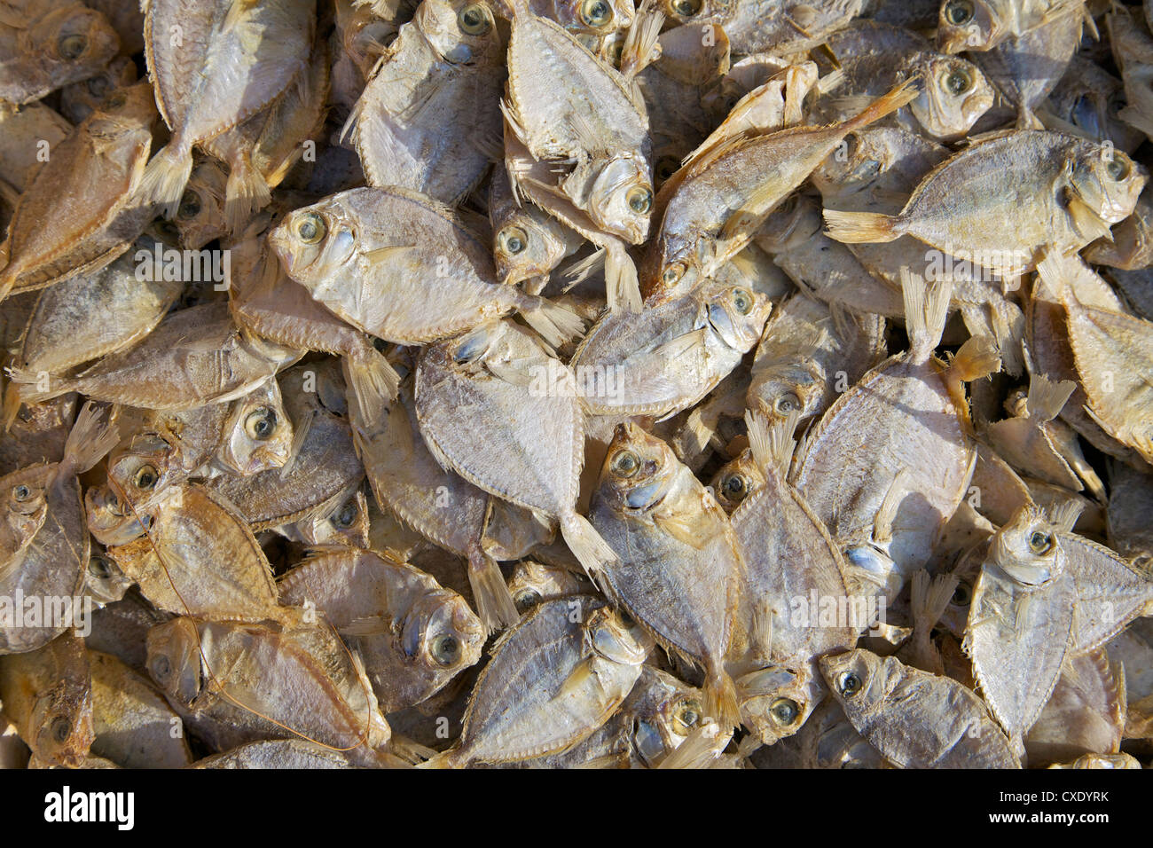 Poisson Séché Banque d'image et photos - Alamy