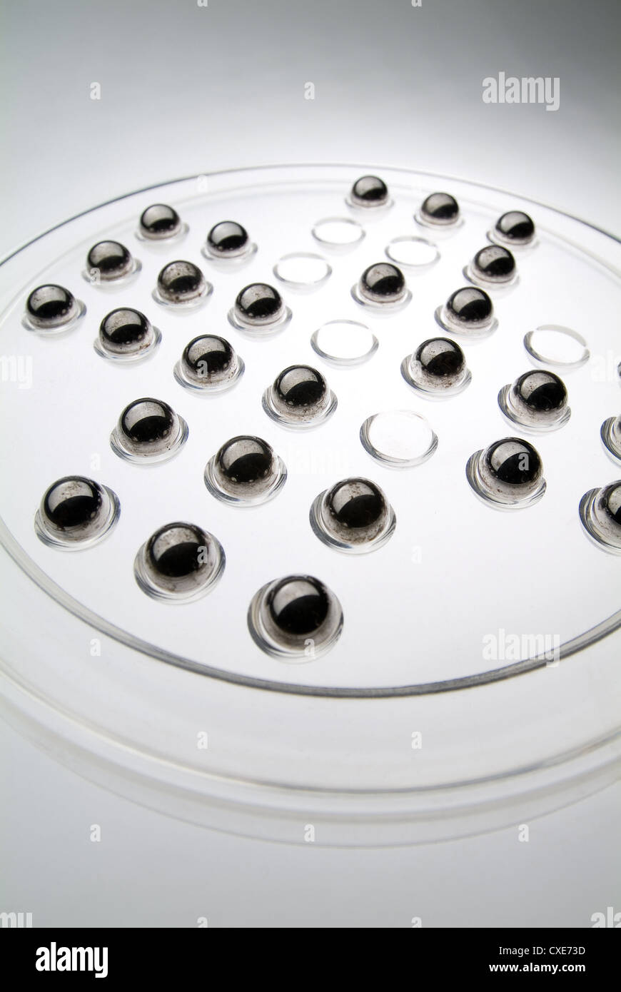 Verre incolore transparent Banque de photographies et d’images à haute ...