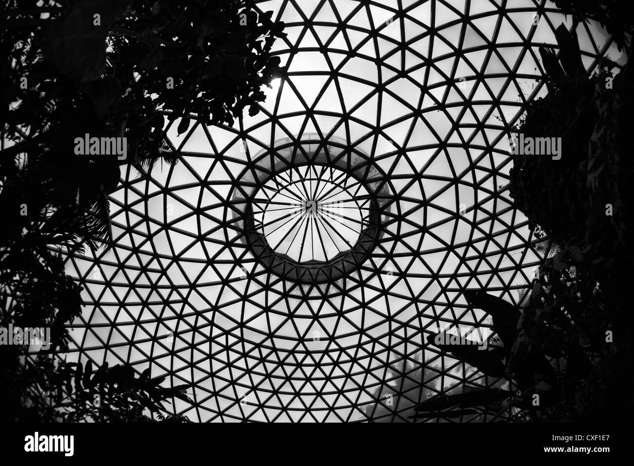 Mt Coot-Tha Botanic Garden - Dôme géodésique reflétée dans un étang ...