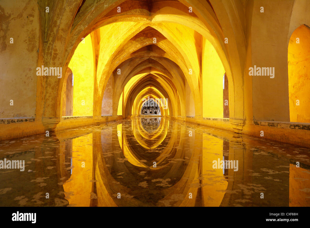 Les bains royaux de l'Alcazar de Séville Dona Maria de Padilla Photo ...