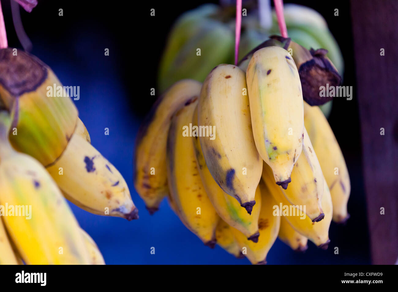 Banane plage Banque de photographies et d’images à haute résolution - Alamy