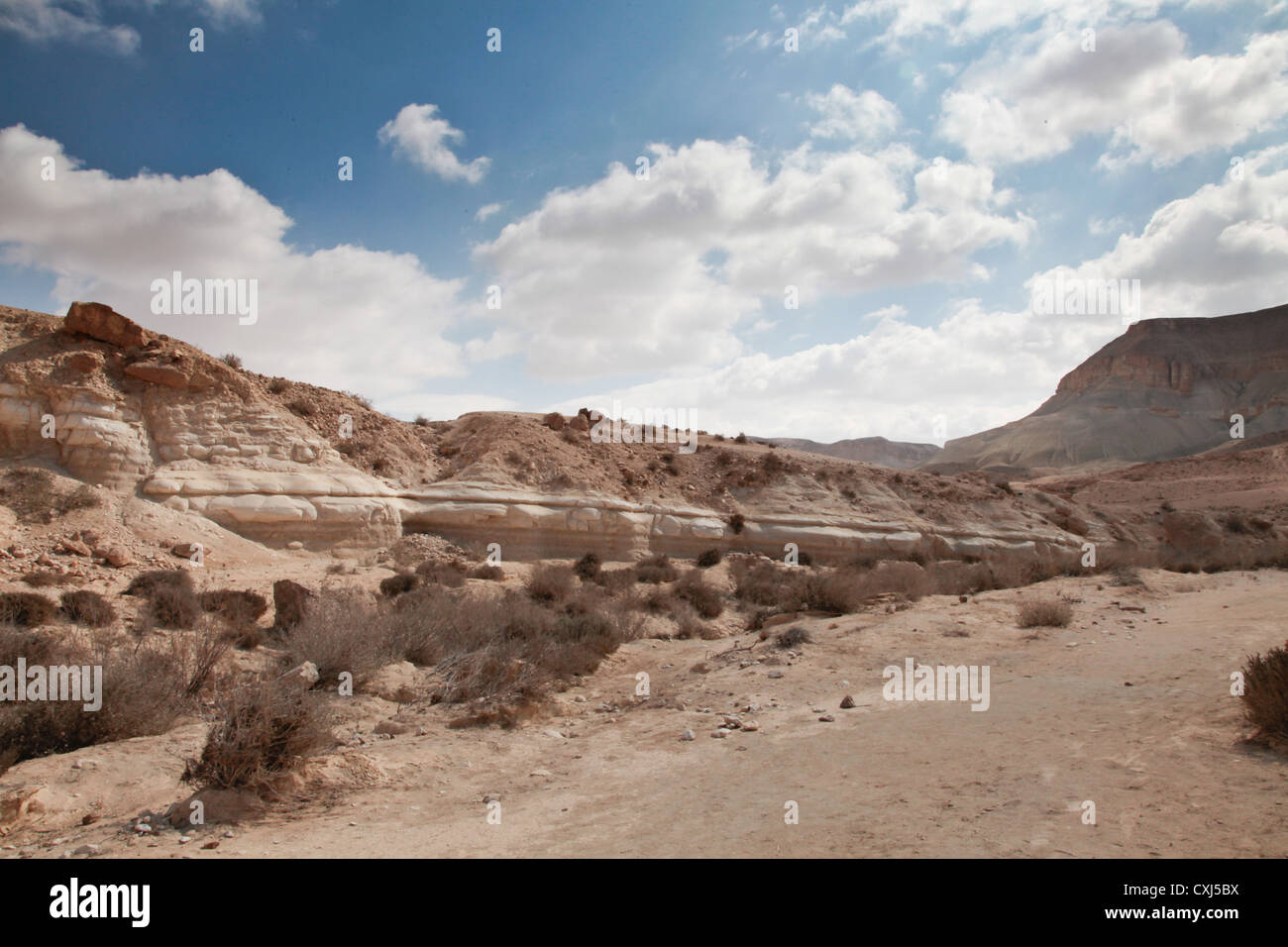 Désert de neguev Banque de photographies et d’images à haute résolution ...