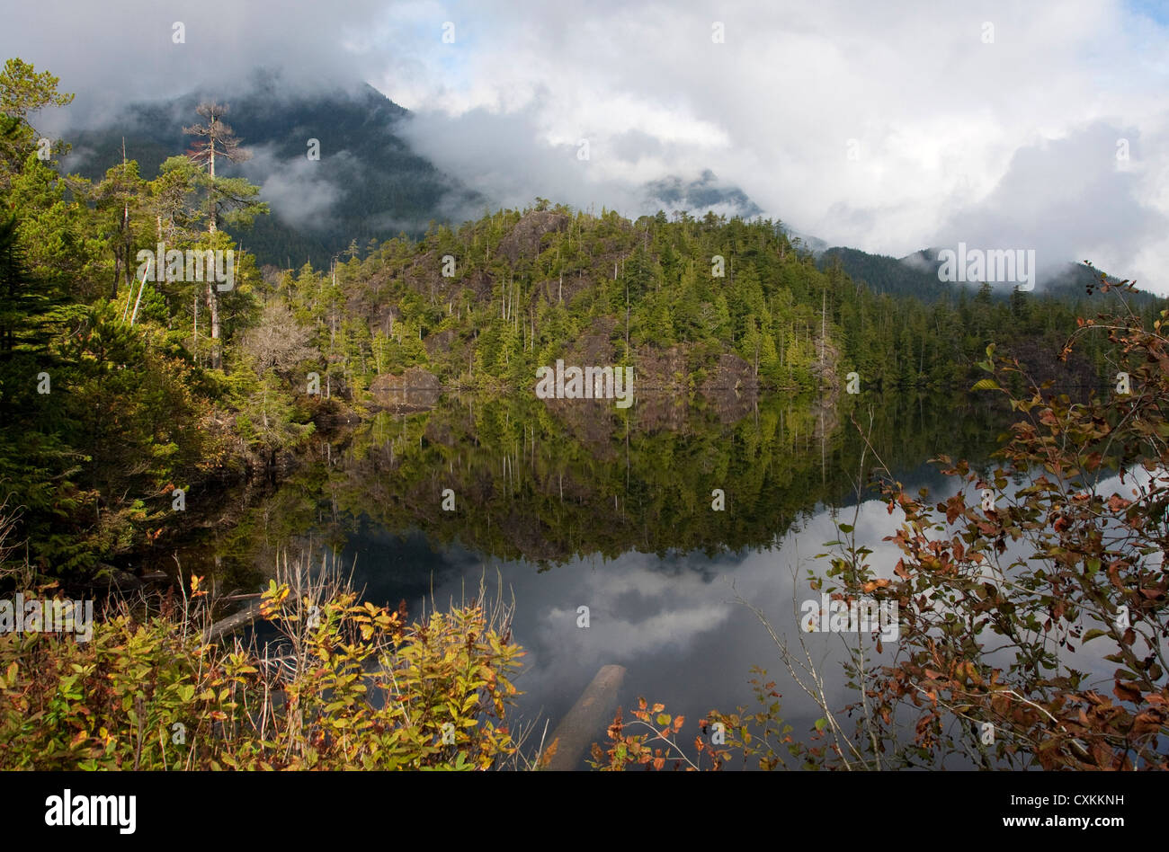 Larry lake Banque de photographies et d’images à haute résolution - Alamy