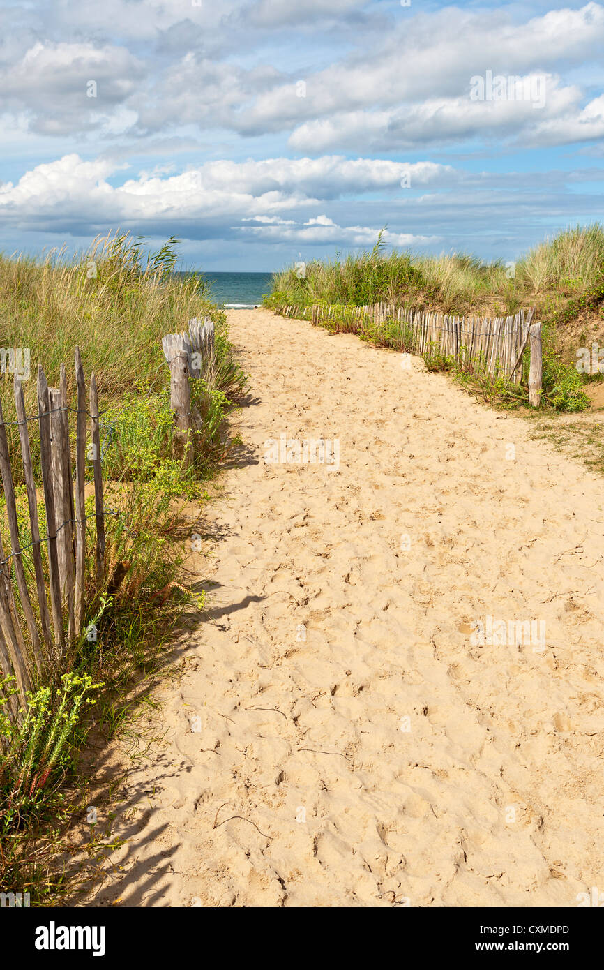 Chemin de sable Banque de photographies et d’images à haute résolution ...