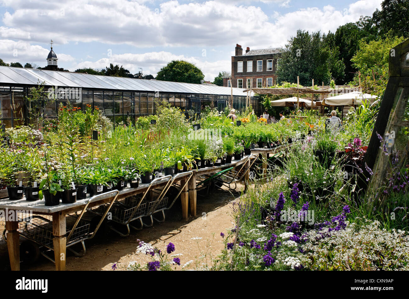 Petersham nurseries Banque de photographies et d’images à haute ...