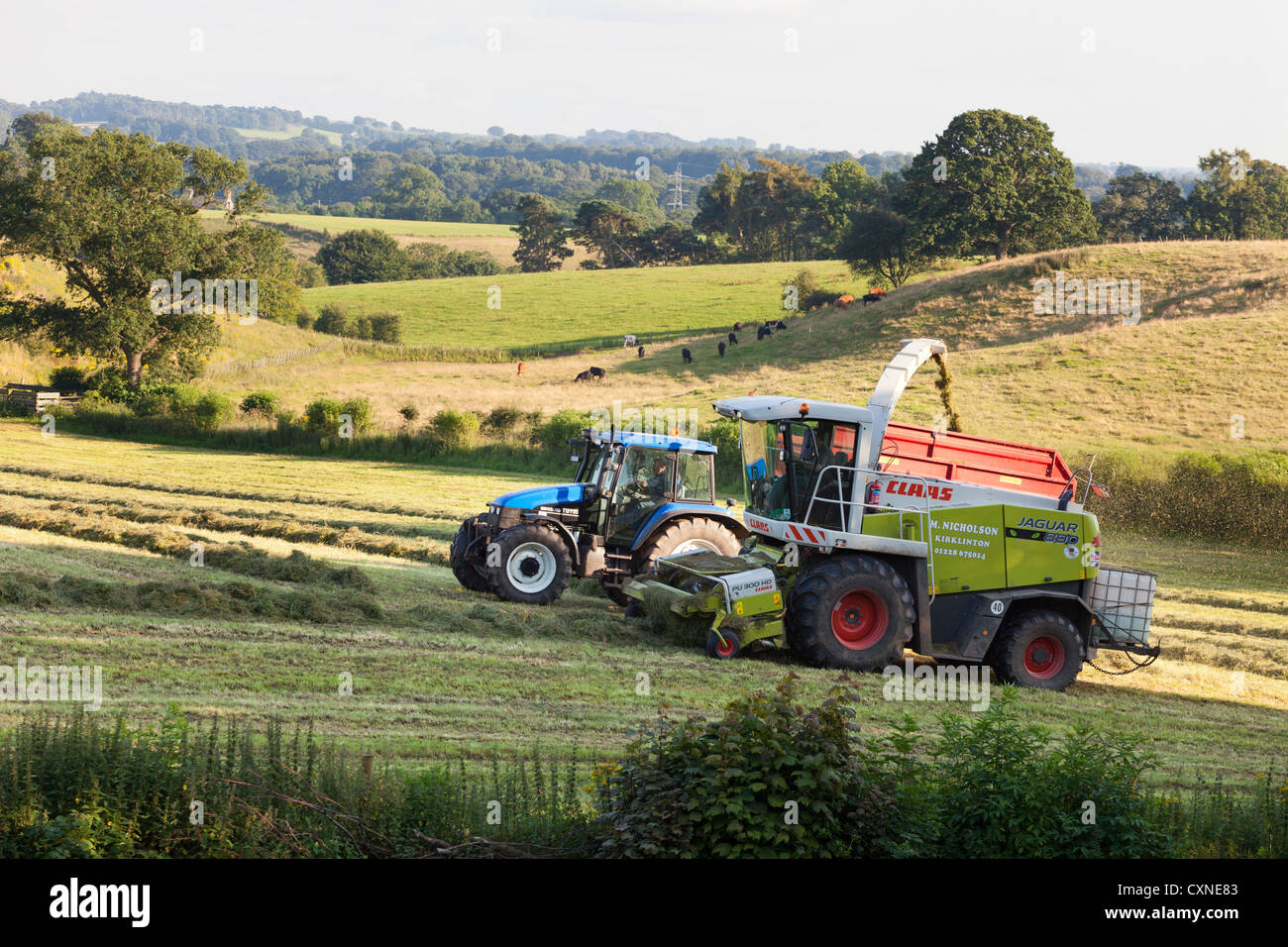 Ensilage faisant ensilage Banque de photographies et d’images à haute ...