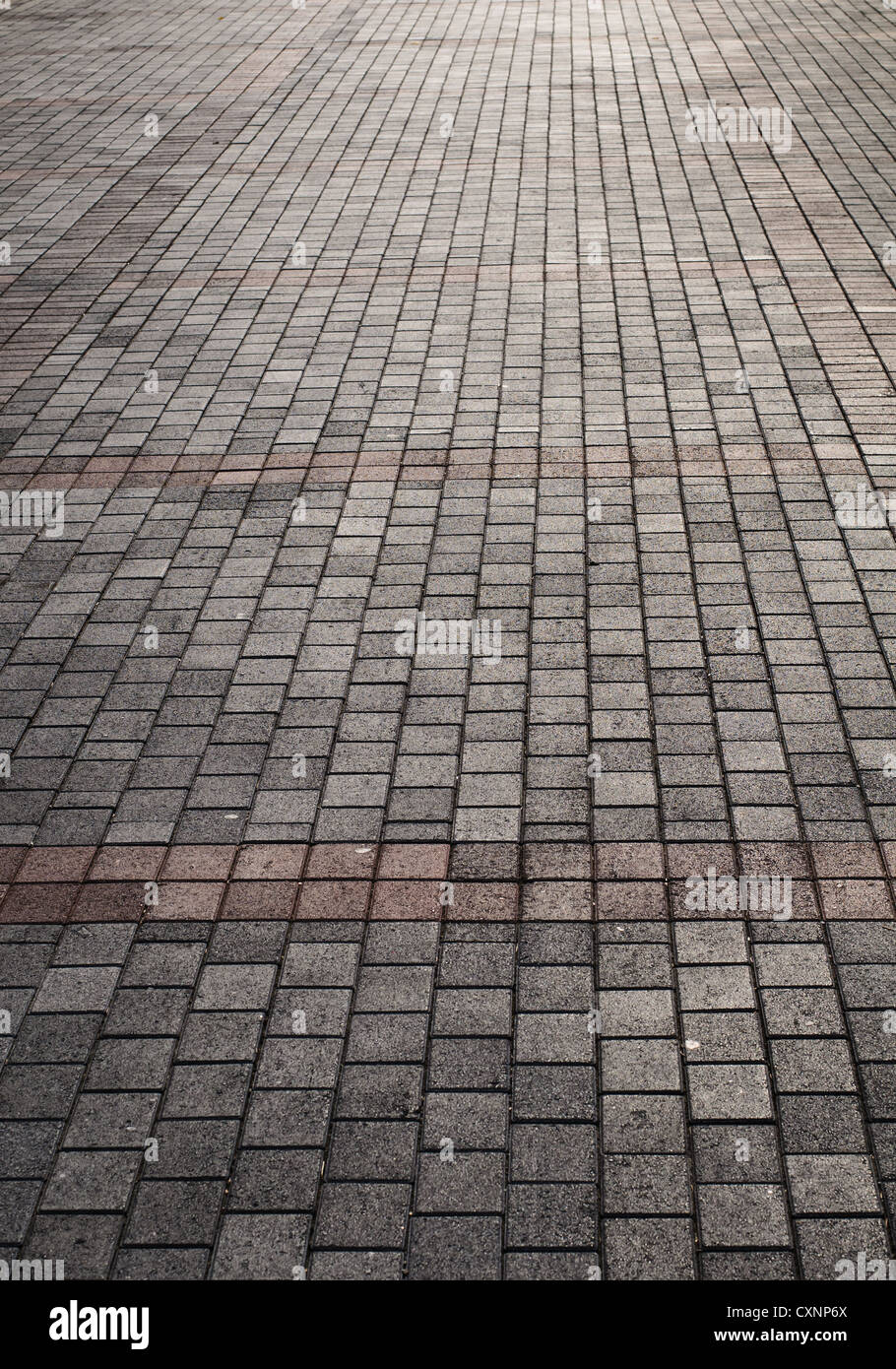 Cobblestoned road Banque de photographies et d’images à haute ...