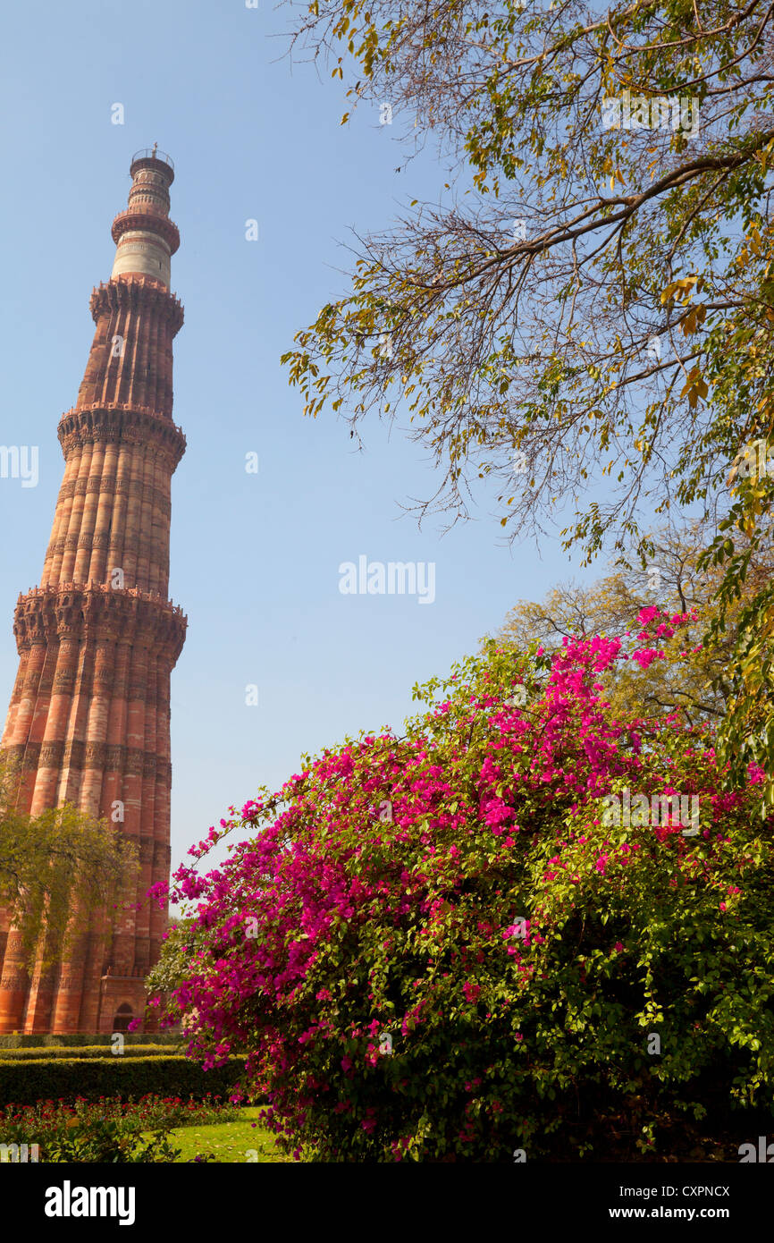 Le qutub minar Banque de photographies et d’images à haute résolution ...