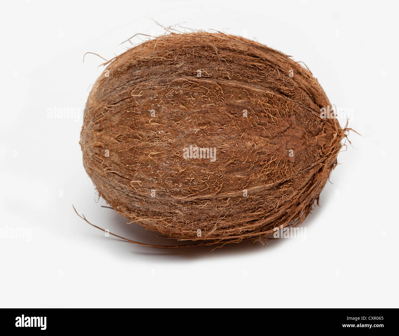 Noix de coco Banque de photographies et d’images à haute résolution - Alamy