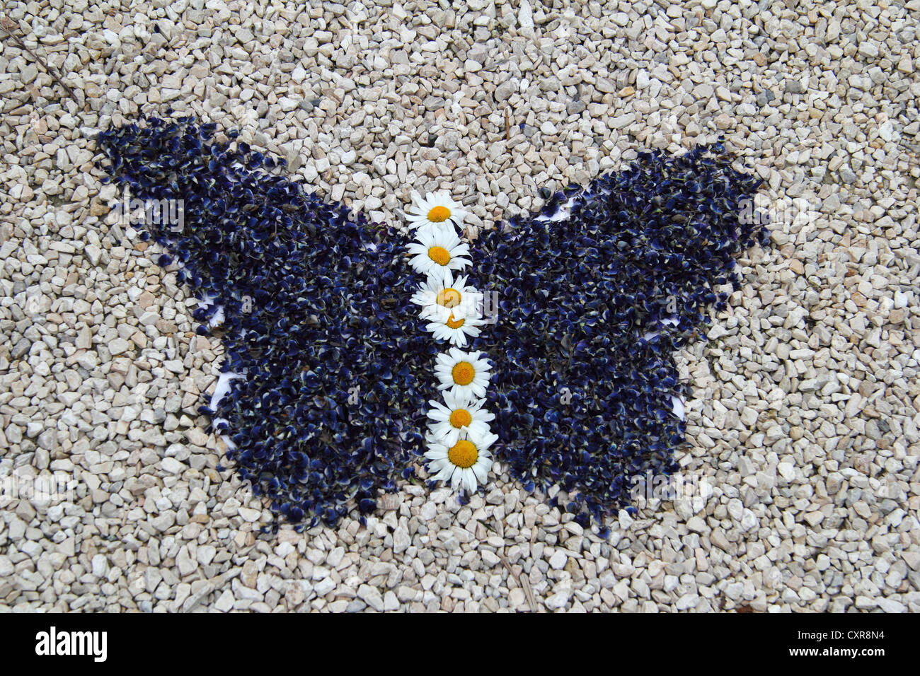 Formes de papillons Banque de photographies et d’images à haute ...