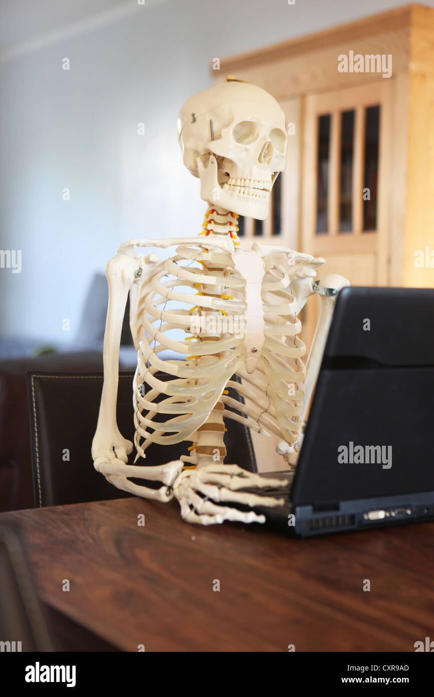 Skeleton computer not artwork Banque de photographies et d’images à ...