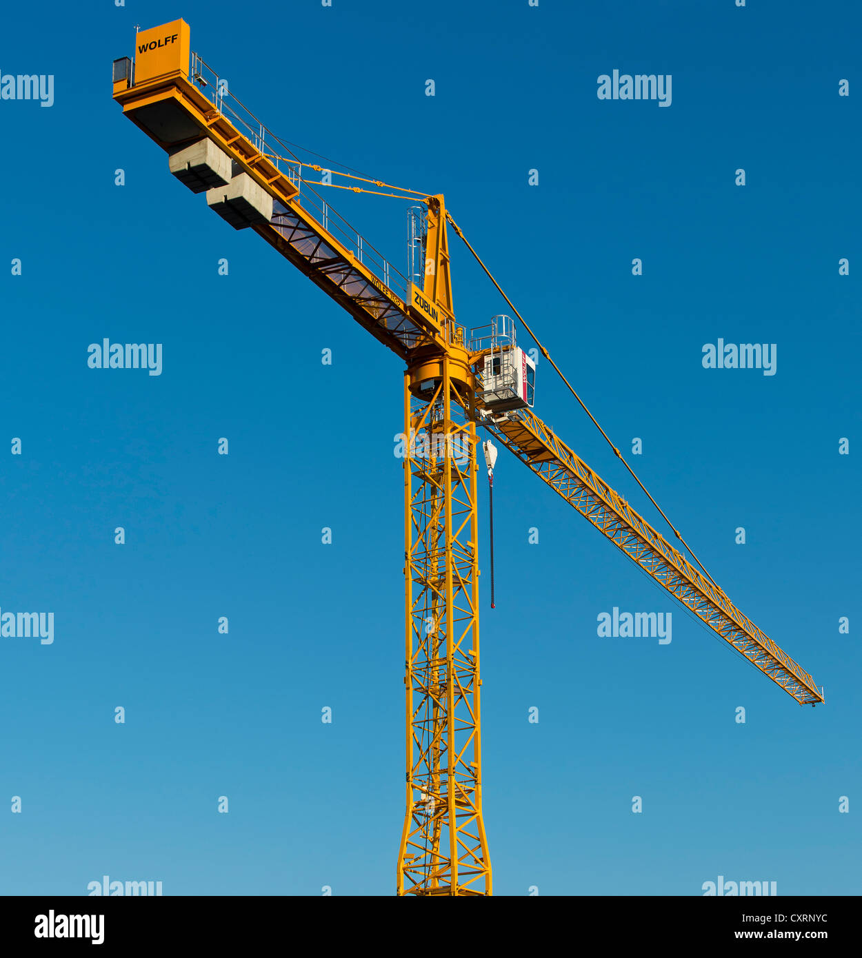 Grue jaune et bleue Banque de photographies et d’images à haute ...