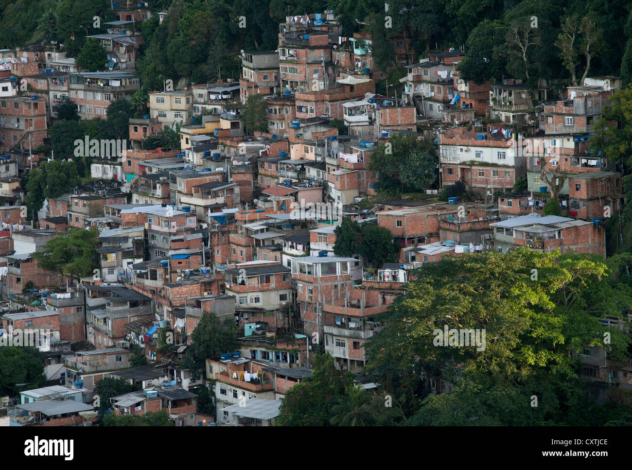 Morro da babilonia favela rio Banque de photographies et d’images à ...