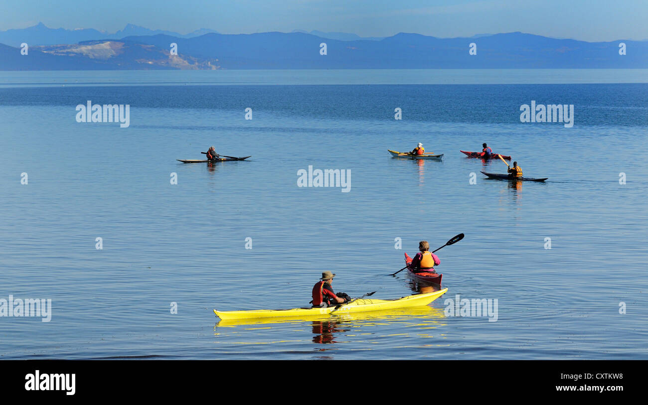 Kayak comox valley Banque de photographies et d’images à haute ...