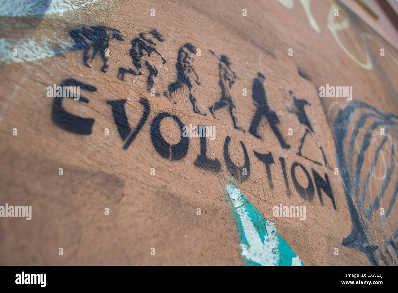 Human evolution darwin Banque de photographies et d’images à haute ...