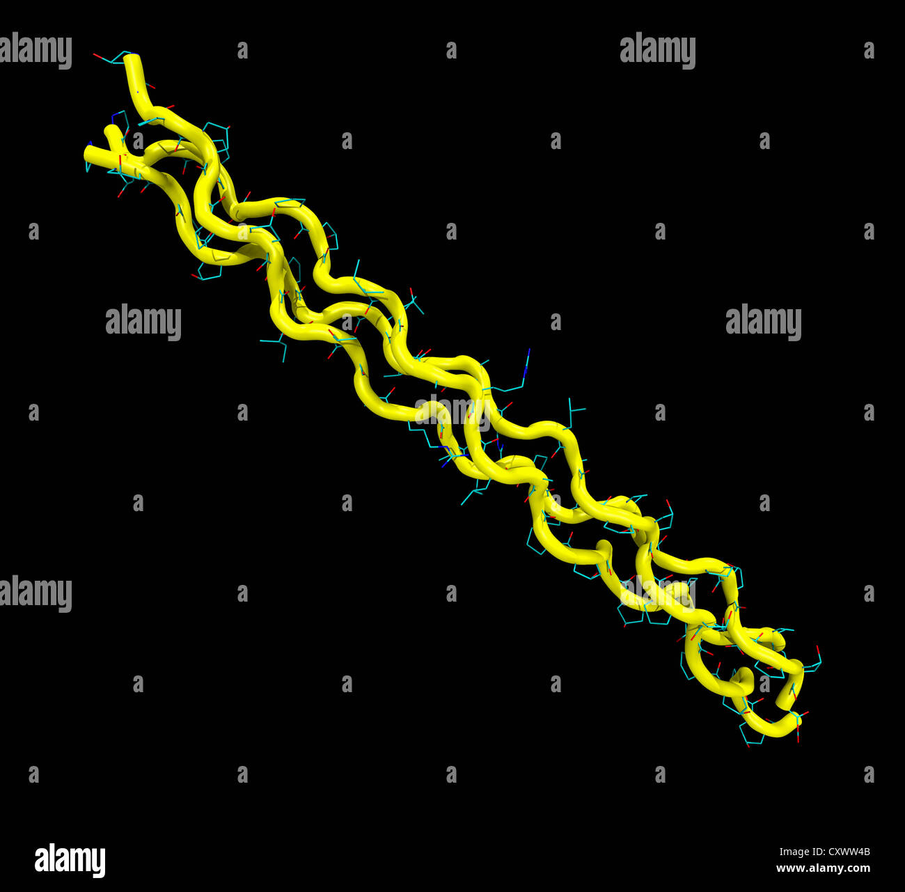 Collagen Protein Structure Banque d'image et photos - Alamy