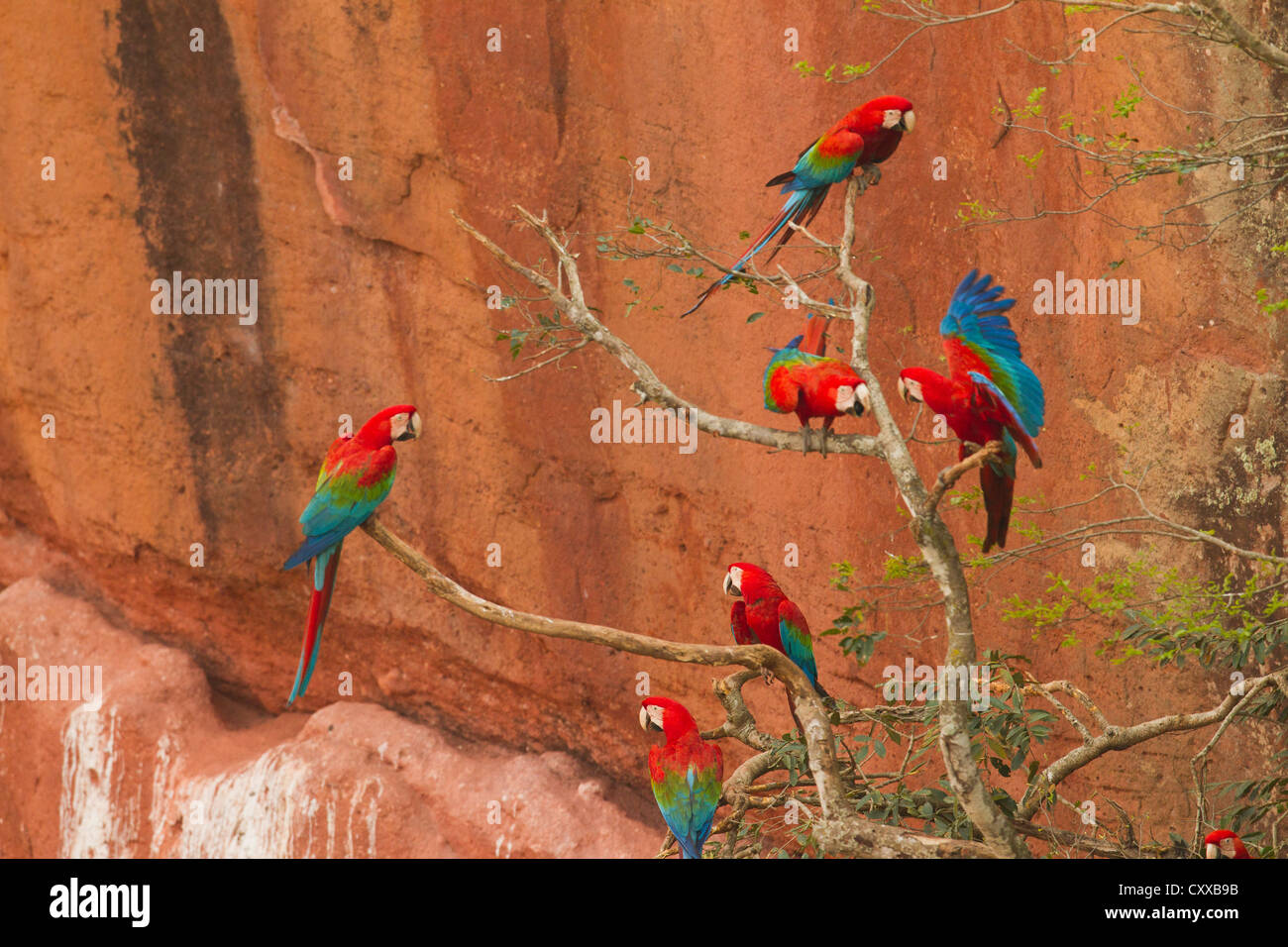 Grande doline Banque de photographies et d’images à haute résolution ...