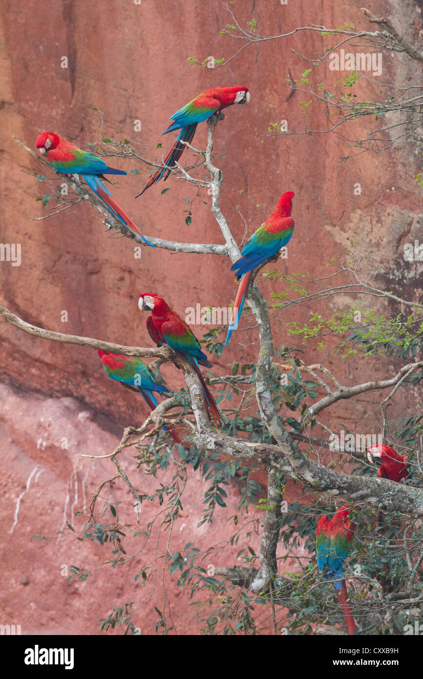 Grande doline Banque de photographies et d’images à haute résolution ...