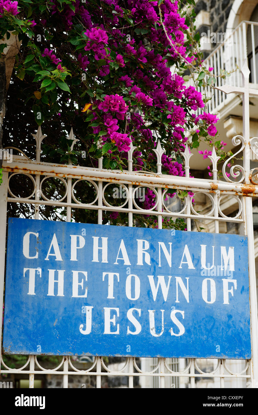 Capharnaüm sur le lac de Génésareth, ou le lac de Tibériade, Yam ...