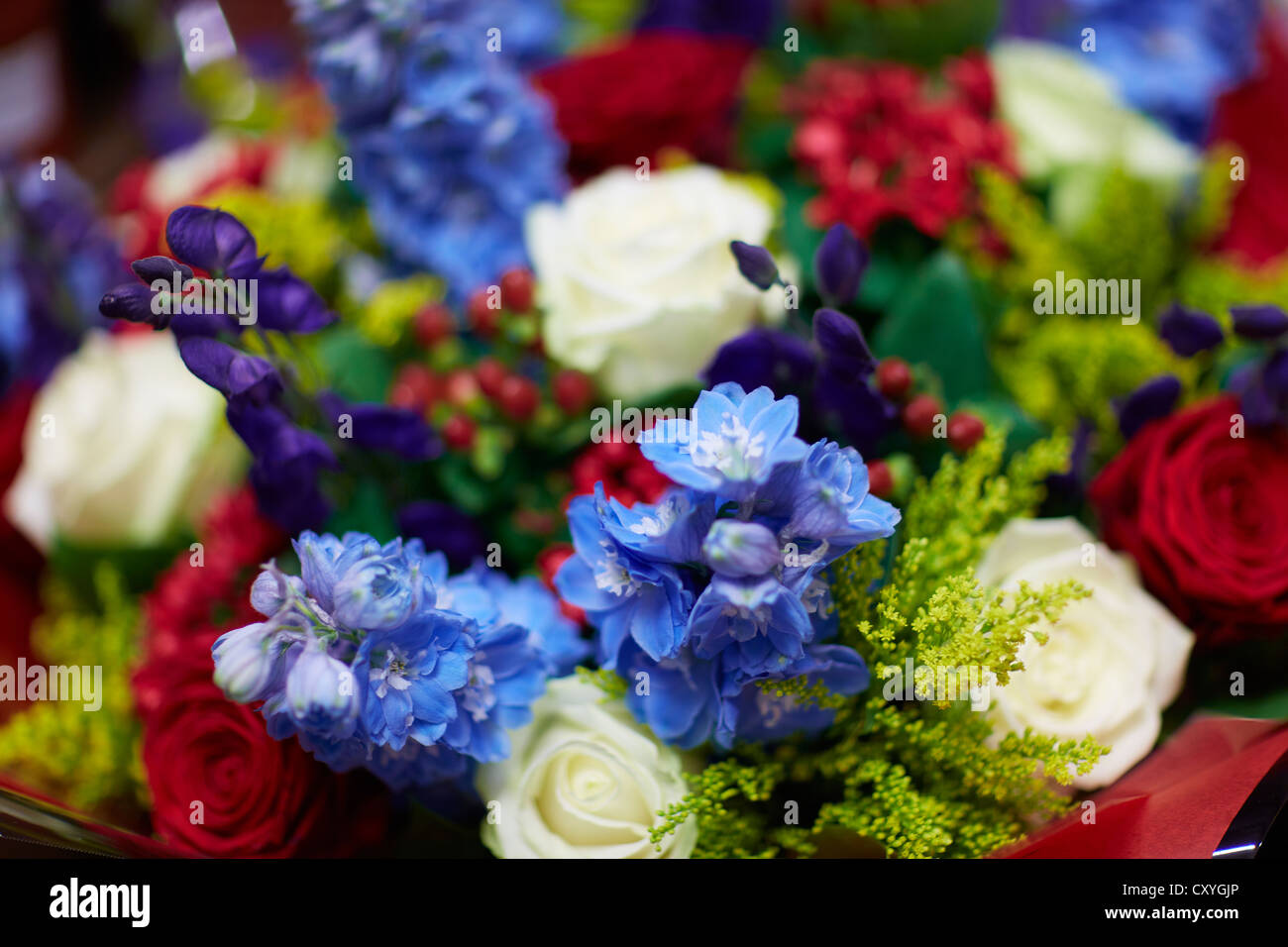 Fleur coupée Banque de photographies et d’images à haute résolution - Alamy
