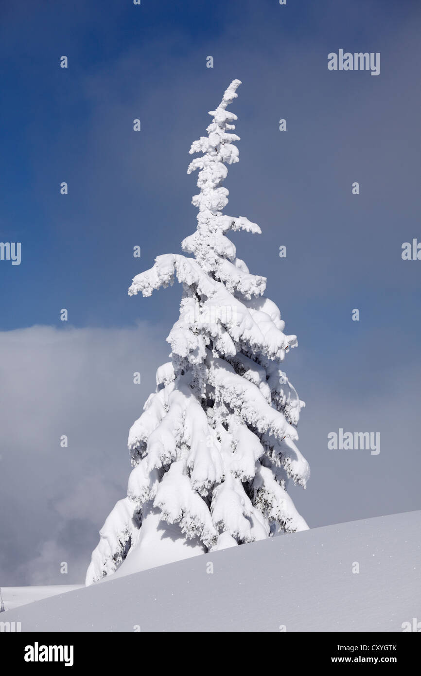 Gasslhoehe Banque de photographies et d’images à haute résolution - Alamy