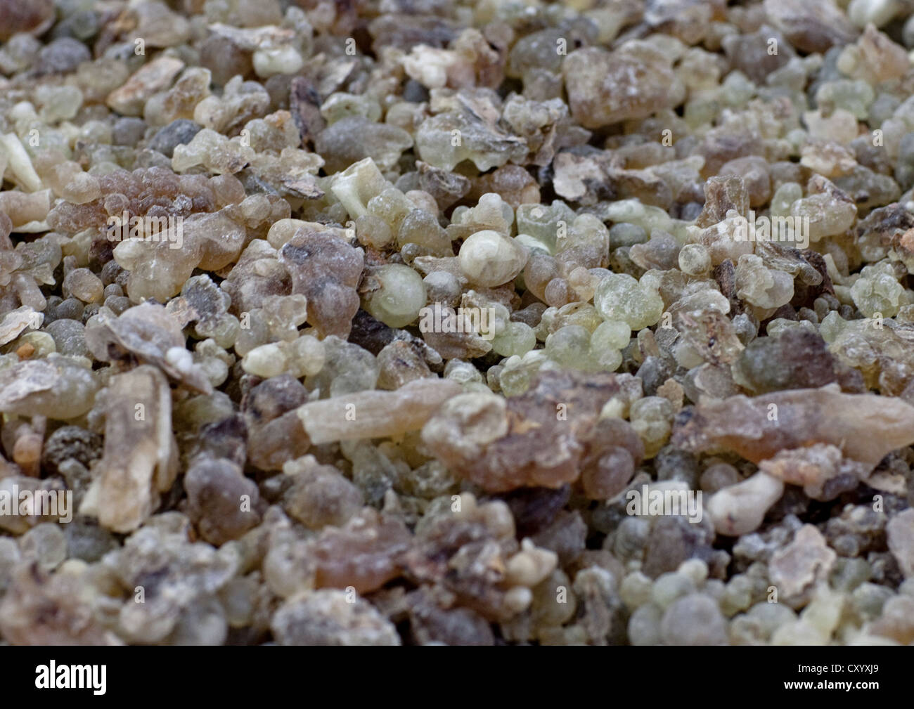 Salalah souk Banque de photographies et d’images à haute résolution - Alamy