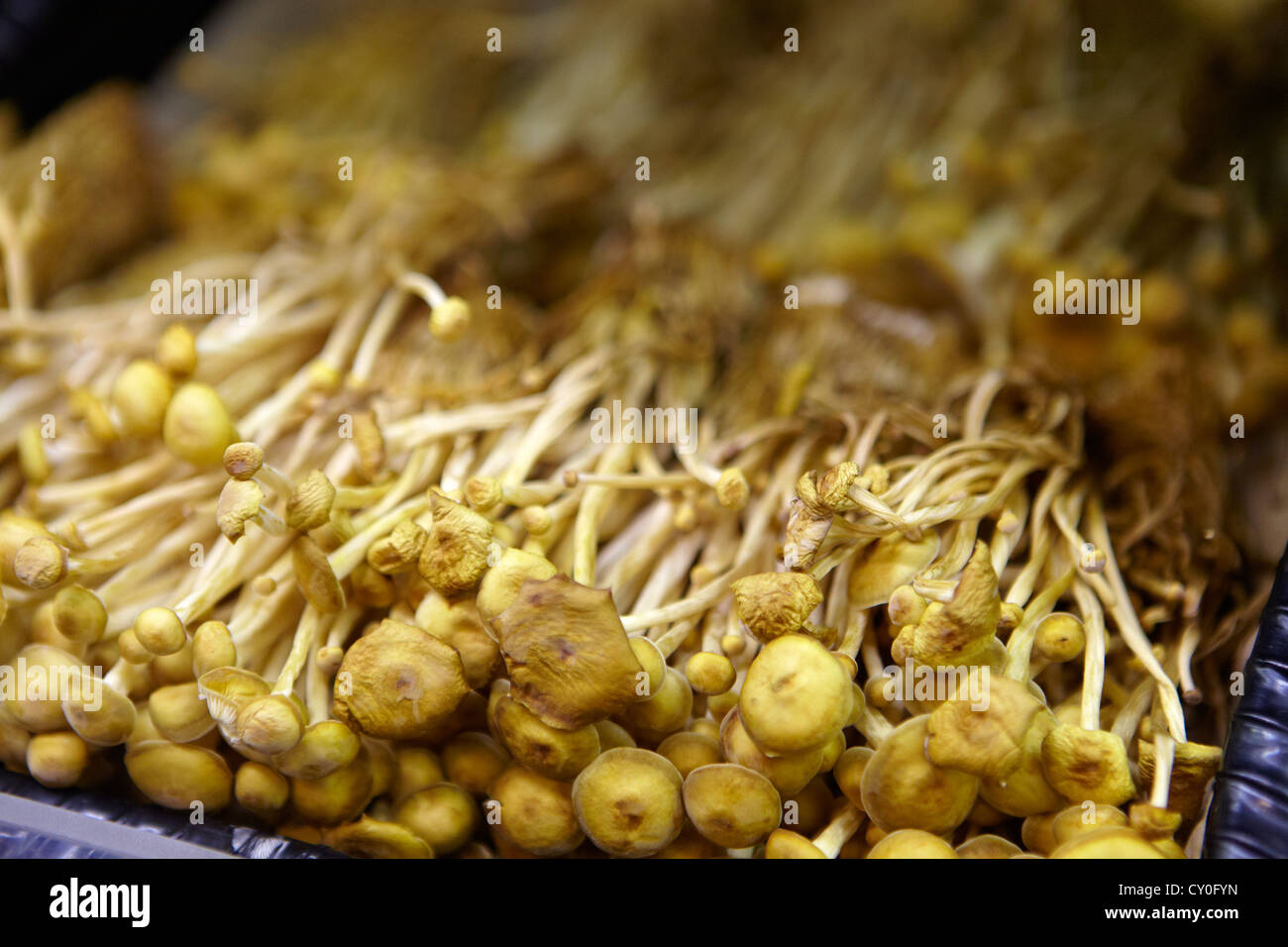 Fruits bio Banque de photographies et d’images à haute résolution - Alamy