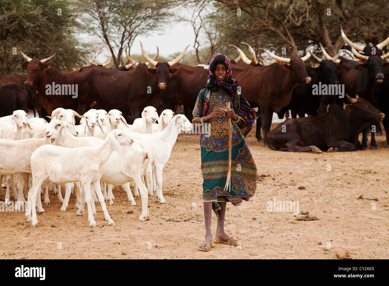 Fille touareg nomade Banque de photographies et d’images à haute ...