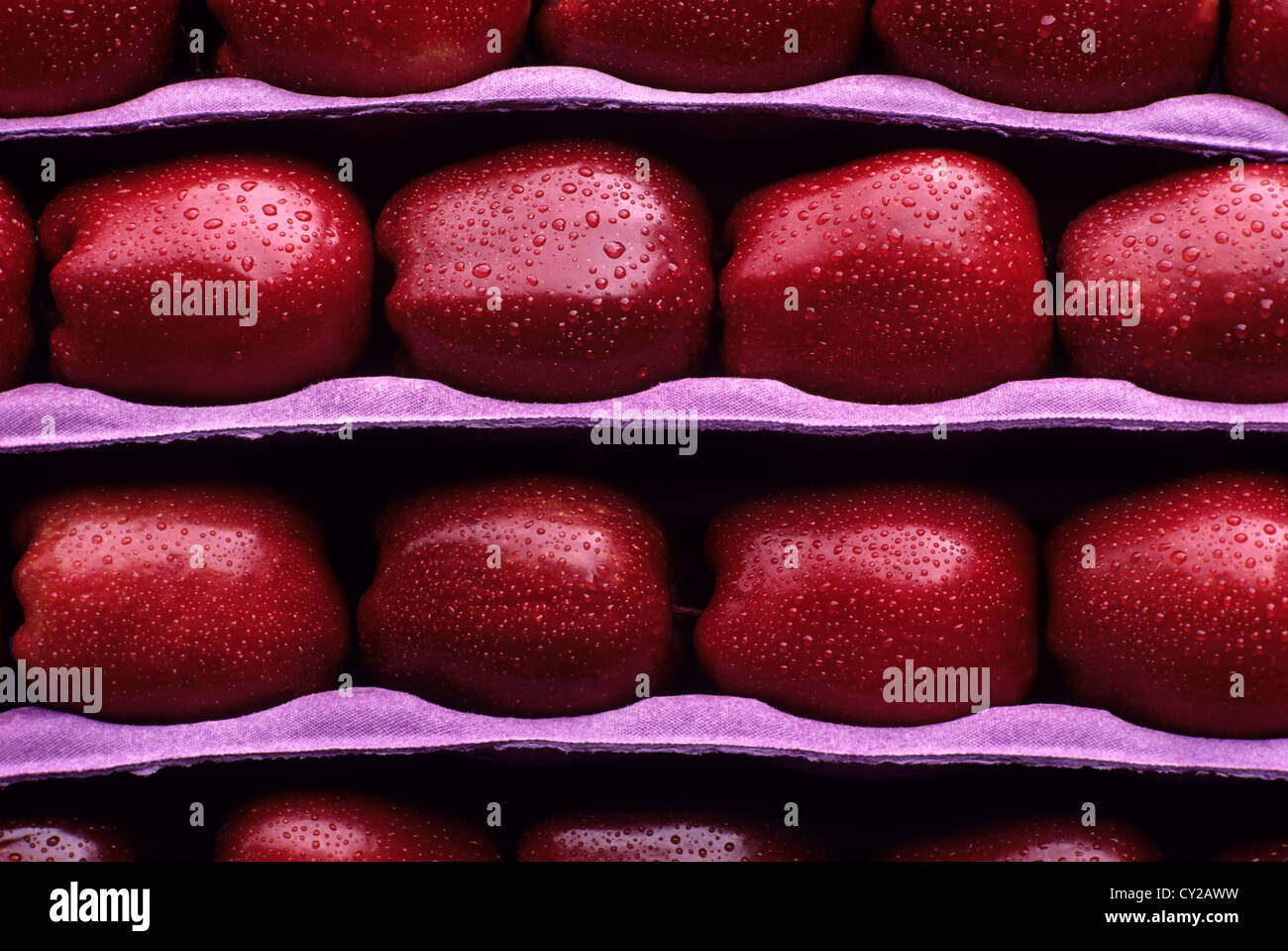Les pommes Red Delicious empilés après la récolte close up de pommes en ...