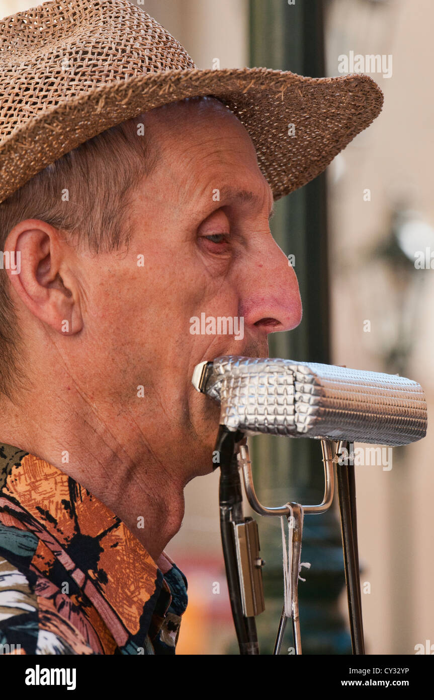 Musicien jouant de l'harmonica Banque de photographies et d’images à ...