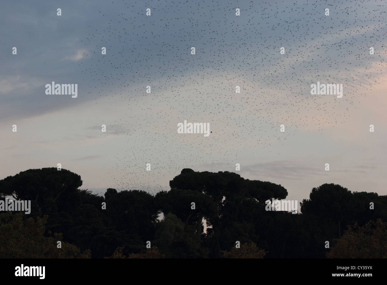 Appia antica Banque de photographies et d’images à haute résolution - Alamy