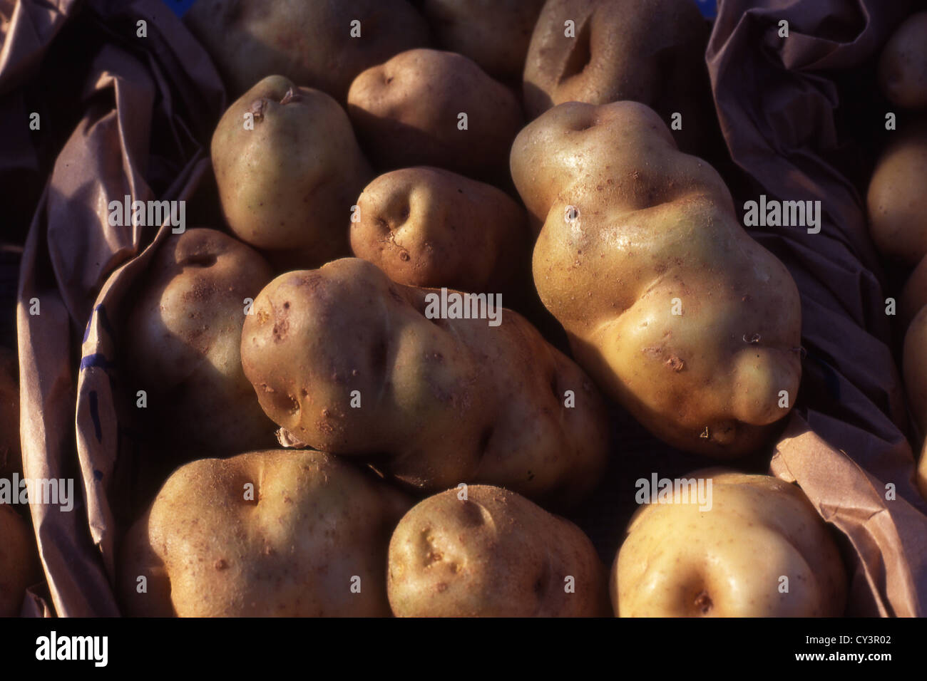 Tubercules de lumpers de pomme de terre Banque de photographies et d ...