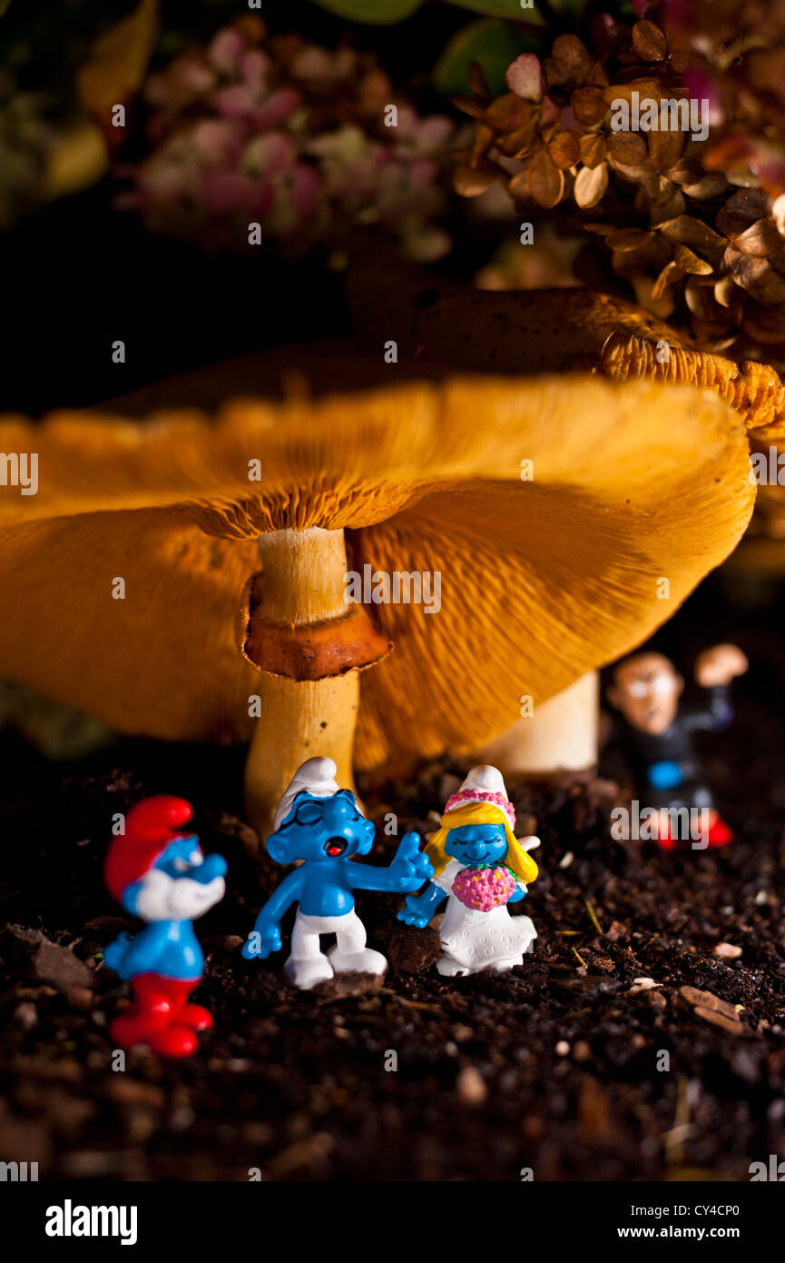 Champignon schtroumpf Banque de photographies et d’images à haute ...